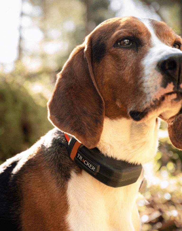 Tracker Luna – Allmogejakt